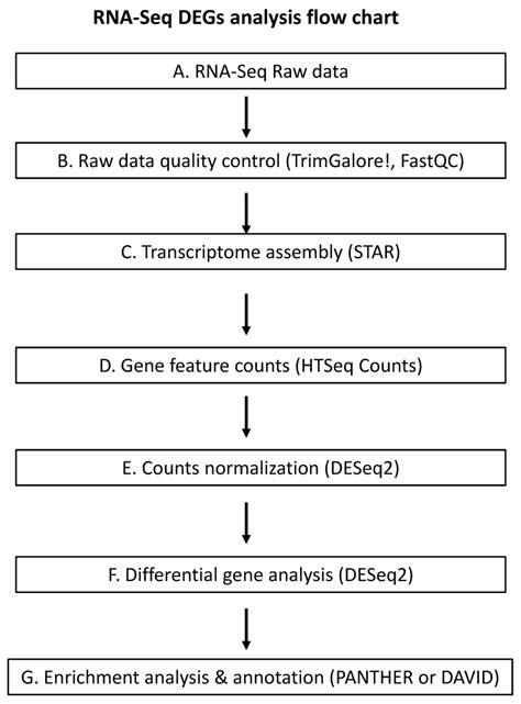 Typical Pipeline For Rna Seq Data Analysis For Differential Gene Download Scientific Diagram