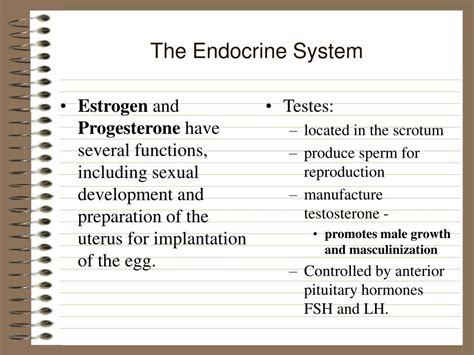 PPT The Endocrine System PowerPoint Presentation Free Download ID