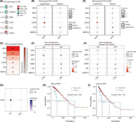 Copy Number Variation Cnv And Single Nucleotide Variation Snv Download Scientific Diagram