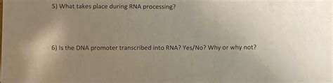 Solved What Takes Place During RNA Processing Is The Chegg Com