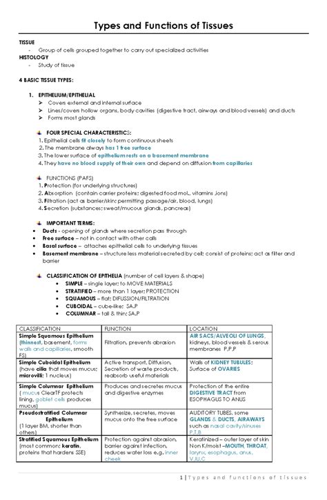 Tissues Ccccccccccccccccccc Types And Functions Of Tissues Tissue Group Of Cells Grouped