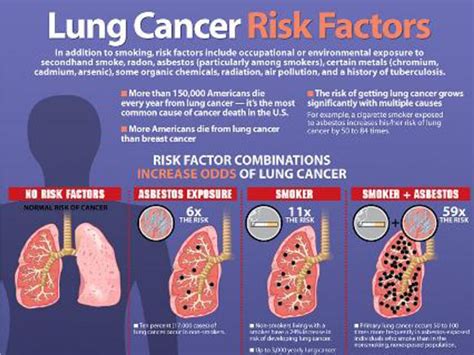 Primary Cause Of Emphysema Primary Causes And Treatment Of Emphysema A Comprehensive Guide
