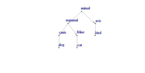 R How To Put Igraph Edges In Correct Order Stack Overflow