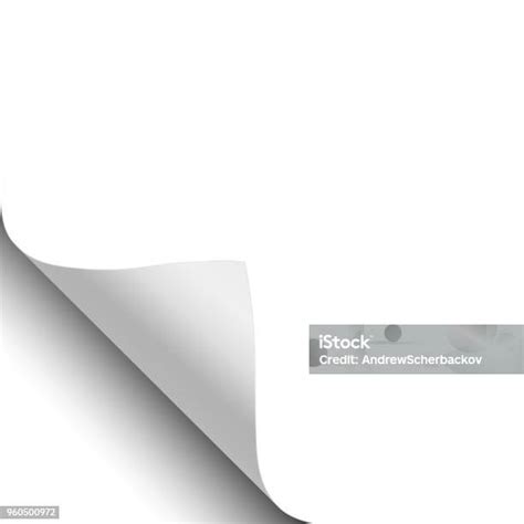 가장자리가 말린된 왼쪽된 모서리와 흰 종이의 시트입니다 서식 파일 종이 디자인 벡터 일러스트입니다 공란에 대한 스톡 벡터 아트 및 기타 이미지 Istock