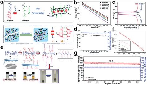 A Schematic Illustration On The Synthesis Of Brush‐like Copolymer And