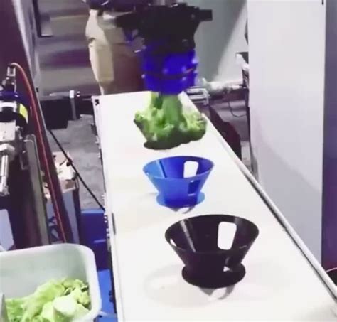 Delta Robot With Water Jet And Gripper For Picking And Sorting Amir Sanatkar Posted On The