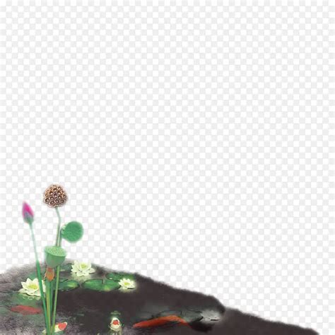 荷花PNG图片素材下载 图片编号10139714 PNG素材网