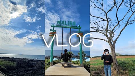 Vlog 제주브이로그 🌴 5박6일여행 2일차 Youtube