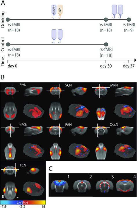 Experimental Rs Fmri Design And Rsns Obtained With Group Pica A