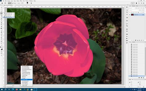 P Photoshop Selection Brush Tool Appears As Brush Adobe Product Community 15458921