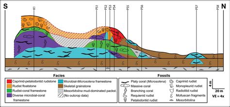 Sequence Stratigraphic And Paleoecologic Analysis Of An Albian Coral