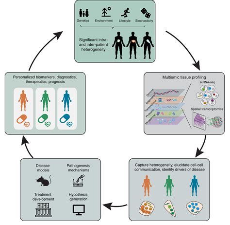 Figure 1 From The Use Of Single Cell Rna Sequencing And Spatial