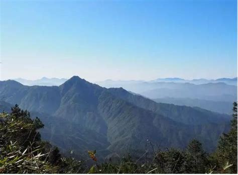 成都周邊游望江樓太古里鳳棲山葛仙山 每日頭條