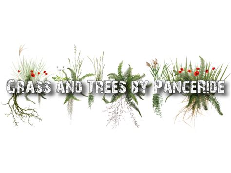 Grass And Trees By Panceride Summer Edition V15 Patch Addon St