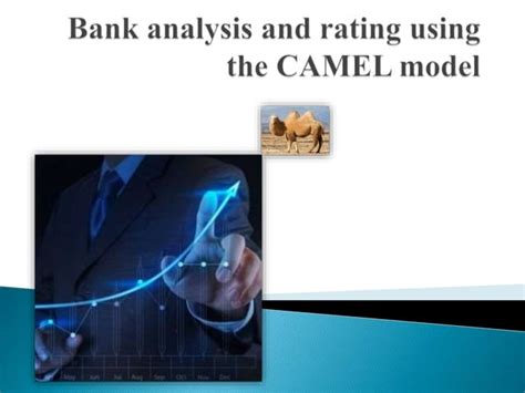 Bank Analysis And Rating Using The Camel Model Pptx