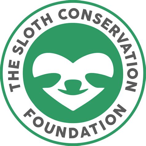 Slothtober Tales From The Jungle The Sloth Conservation Foundation