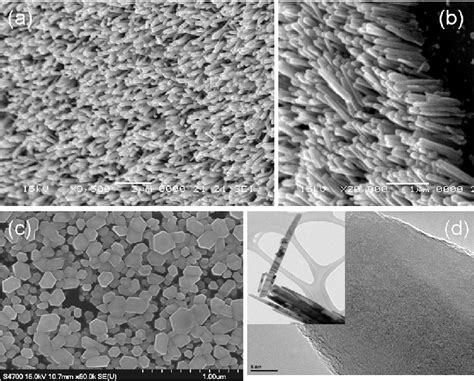 A Sem Image Of Alzno Nanorod Array B Tilt Angle View Of The Download Scientific Diagram