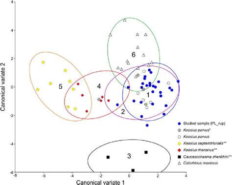 Canonical Variates Analysis Of The Shape Of Gill Rakers Of European Download Scientific Diagram