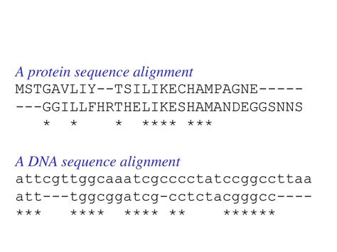 Introduction To Bioinformatics Lecture 5 Pair Wise Sequence Alignment