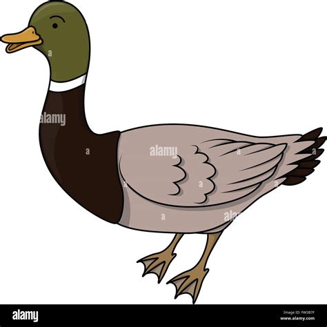 Duck Cartoon Illustration Stock Vector Image And Art Alamy