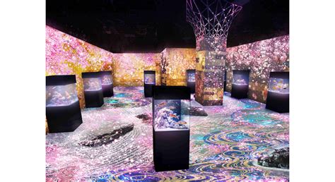 Naked Sakura Aquarium Moshi Moshi Nippon