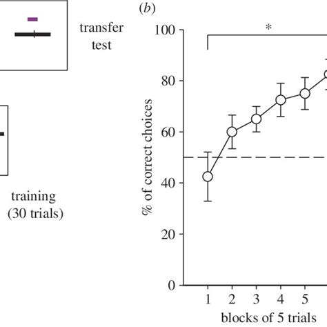 Experiment 1 A Example Of The Conditioning And Testing Procedure Download Scientific