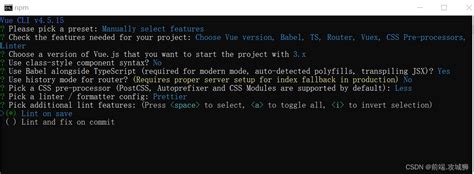 Vue3 脚手架搭建项目详细过程脚手架搭建vue3项目 Csdn博客