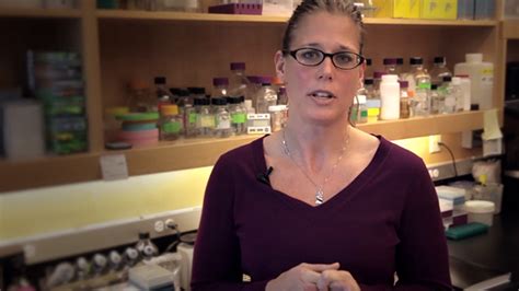 Nebcutter® V3 0 Visualize A Restriction Digest On A Virtual Gel Neb