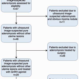 Flow Chart Of The Patient Selection Process GnRH Download Scientific Diagram