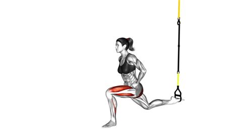 Master The Suspender Single Leg Split Squat Female Video Guide And Tips
