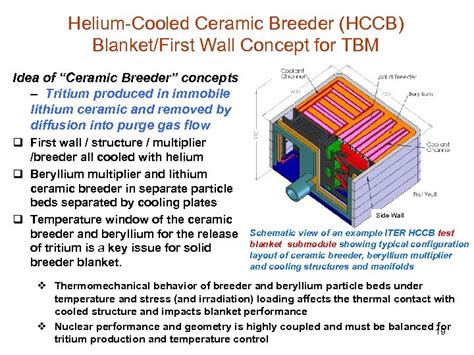 Iter Test Blanket Module Tbm Current U S