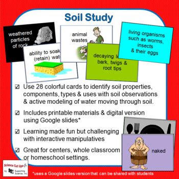 Soil Study By Science Cut Ups Teachers Pay Teachers