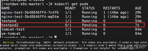 K8s（二）pod资源——node调度策略、node亲和性、污点与容忍度怎么添加容忍度和node Selector Csdn博客