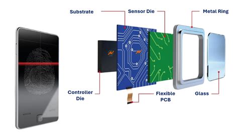 Fingerprint Sensor Technology Materials And Adhesives Avantek Vn