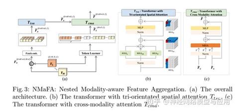 Nestedformer Nested Modality Aware Transformer For Brain Tumor Segmentation论文精读 知乎