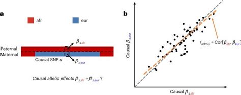 Causal Effects On Complex Traits Are Similar For Common Variants Across Segments Of Different