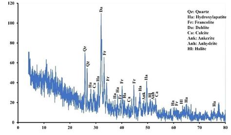 [a] Photomicrograph Showing Phosphatic Pellets P Large Coprolite C Download Scientific