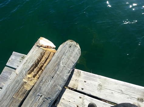 premium photo high angle view of wooden logs on jetty