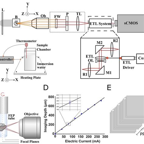 Schematics Of Multifocal Optical Projection Microscopy Mf Opm Imaging Download Scientific