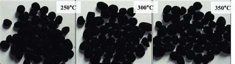 The Physical Appearance Of Palm Kernel Torrefaction Products A