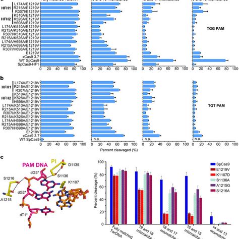 Structure Based Design Of High Fidelity Spcas9 Variants A In Vitro Download Scientific Diagram