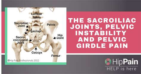 Sacroiliac Joint Pain Pelvic Instability And Pelvic Girdle Pain