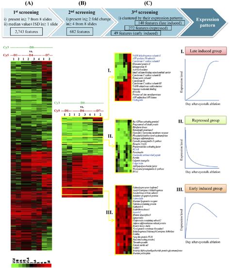 Gene Expression Analysis By Cdna Microarray Transcript Levels In