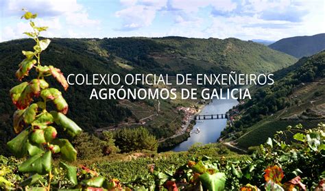 Agronomos De Galicia Consejo De Desarrollo Sostenible Un órgano Que