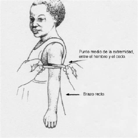 La Medida Del Perímetro Braquial Pb O Muac Download Scientific Diagram