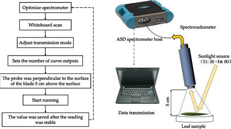 Flow Chart Of Spectral Measurement 58 Download Scientific Diagram