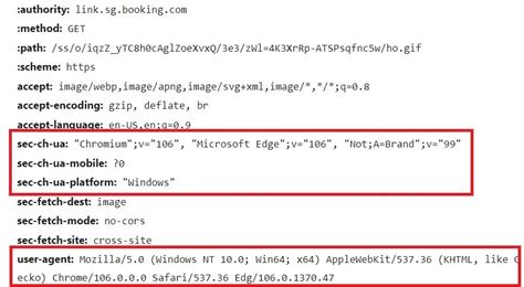 What Are Web Beacons Tools You Need To Know Beyond Cookies Hogan B Lab