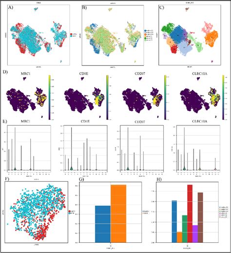 Characterization Of The Pca Tumor Microenvironment A Status Based