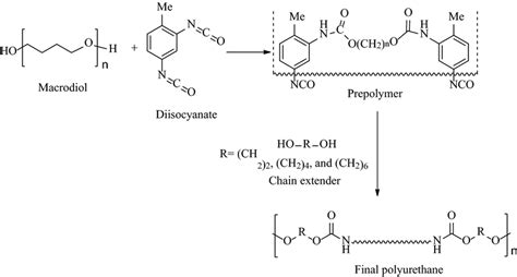 Schematic Illustration For The Synthesis Of Polyurethane Samples