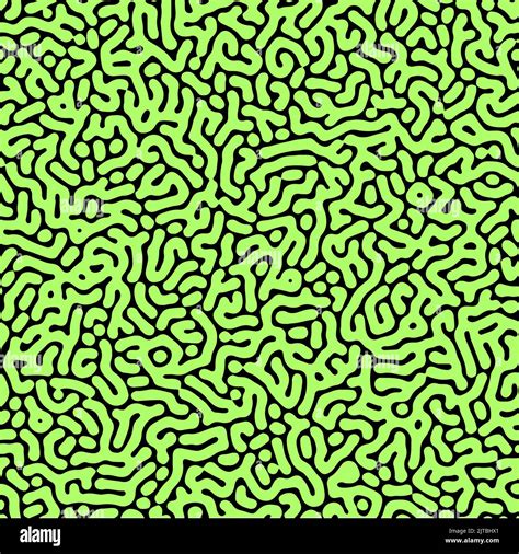 Maze Brain Coral Stock Vector Images Alamy